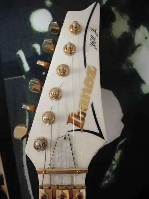 Ibanez Jem 7 copy Electric guitar for sale | GS Fanatic