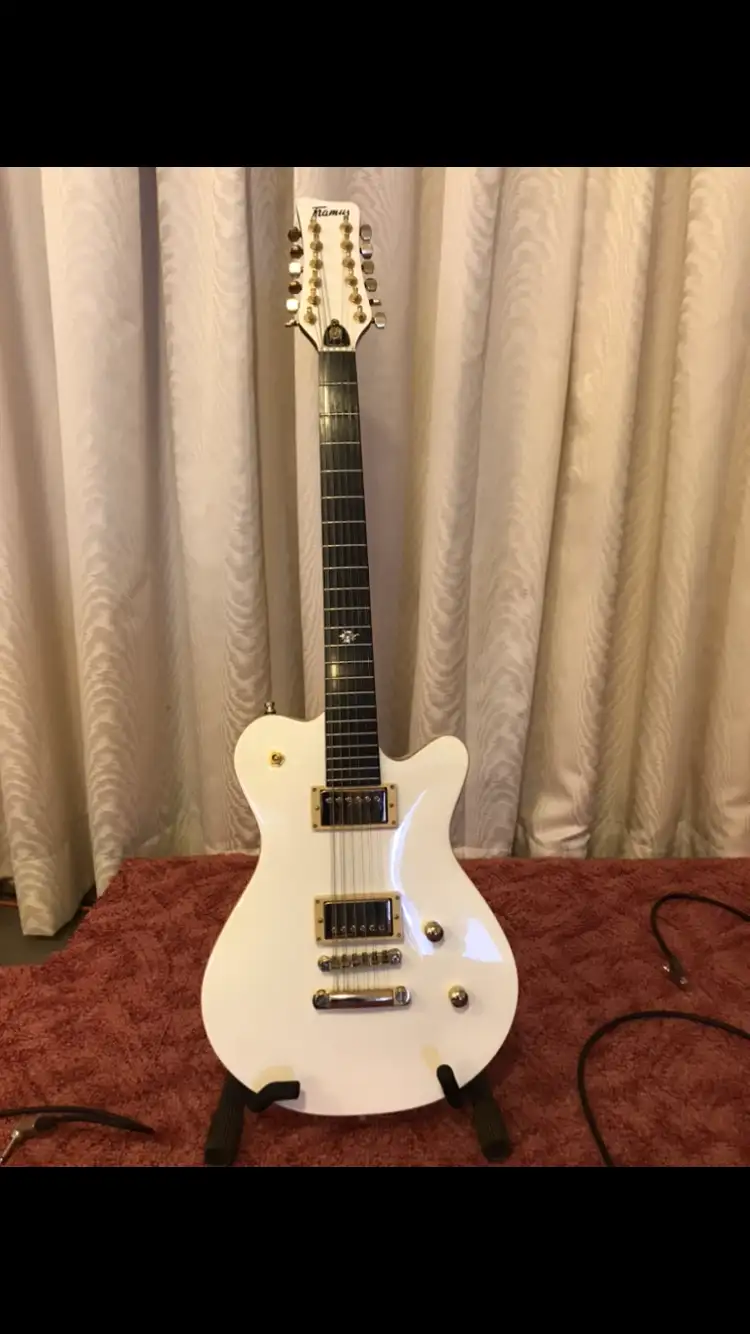 Framus Panthera Custom Electric guitar 12 strings for sale | GS Fanatic