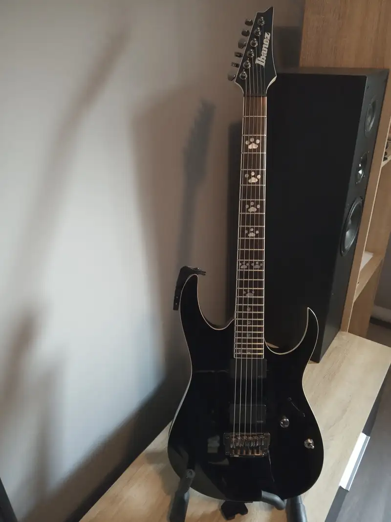 Ibanez RGIR20FE Elektromos gitár eladó | GS Fanatic