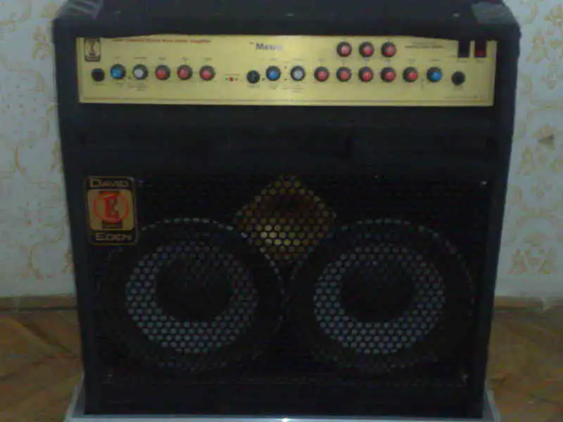 DAVID EDEN Metro Combo Dc 210 XLT Bass guitar amplifier for sale | GS ...