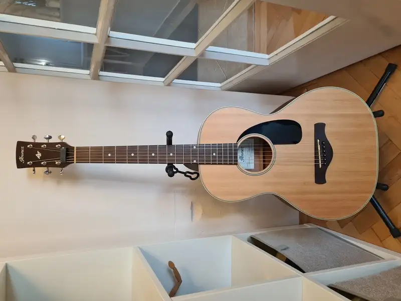 Ibanez AN60 LG 14-01 Parlor Akusztikus gitár for sale | GS Fanatic
