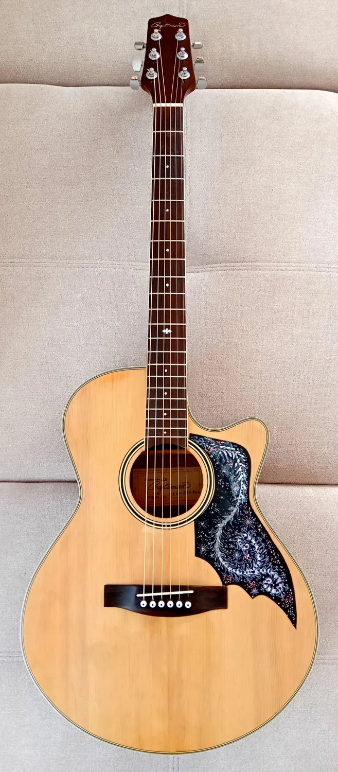 Craftsman EAG-38 CE Elektroakusztikus gitár eladó | GS Fanatic